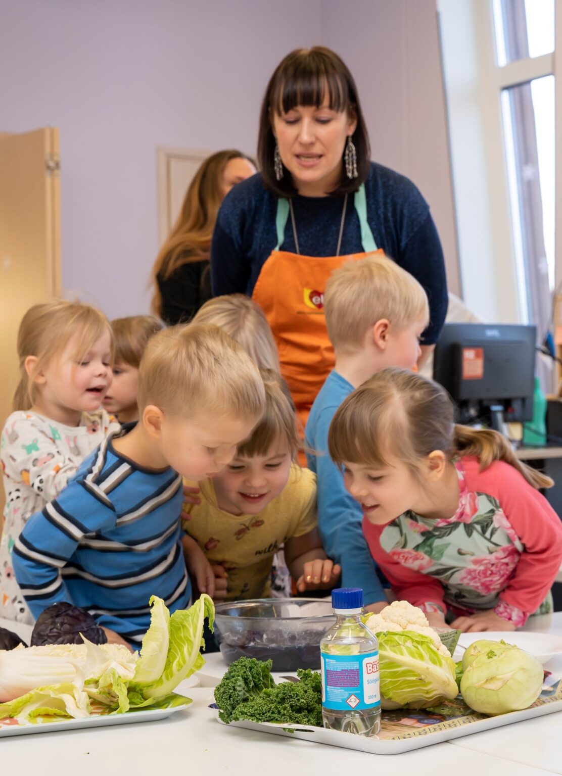 Avaleht - Meelte kool